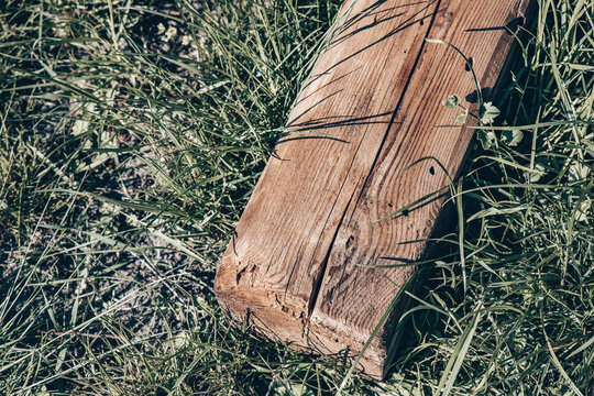 Belka Images – Browse 591 Stock Photos, Vectors, and Video | Adobe Stock