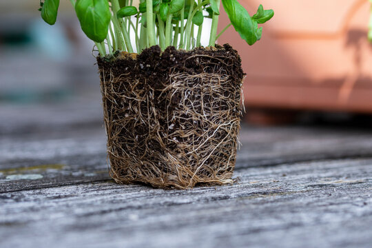 Superuser Images – Browse 1,995 Stock Photos, Vectors, and Video ...