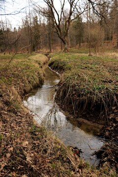 Imágenes de Strumyk: descubre bancos de fotos, ilustraciones, vectores ...