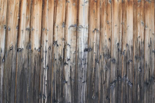 Wwod Images – Browse 127 Stock Photos, Vectors, and Video | Adobe Stock