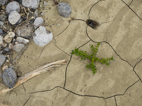 Disunite Bilder – Durchsuchen 6,647 Archivfotos, Vektorgrafiken und ...