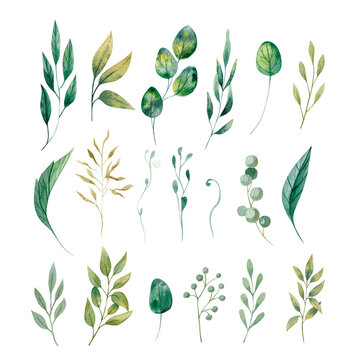 Adorn Images – Browse 3,336,879 Stock Photos, Vectors, and Video ...