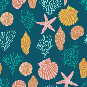 Cockleshell Images – Parcourir 39,008 le catalogue de photos, vecteurs ...