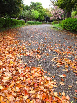 章 Images – Browse 988 Stock Photos, Vectors, and Video | Adobe Stock