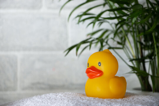 Babyhood Images – Browse 134,089 Stock Photos, Vectors, and Video ...