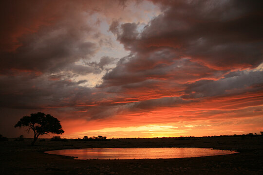 Sundowner Images – Browse 2,005 Stock Photos, Vectors, and Video ...