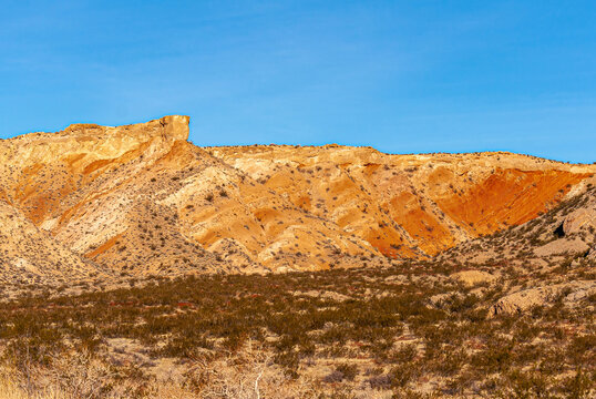 Blet Images – Browse 744 Stock Photos, Vectors, and Video | Adobe Stock