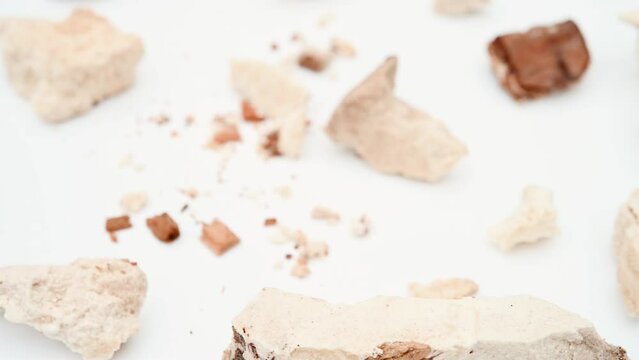 「Pini」の写真素材 | 5,223件の無料イラスト画像 | Adobe Stock