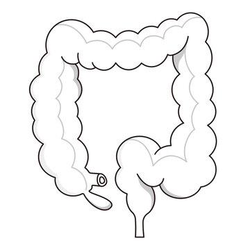 "Sigmoid Flexure" Images – Browse 433 Stock Photos, Vectors, and Video ...