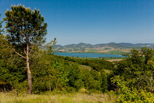 Primaverile Bilder – Durchsuchen 4,385 Archivfotos, Vektorgrafiken und ...