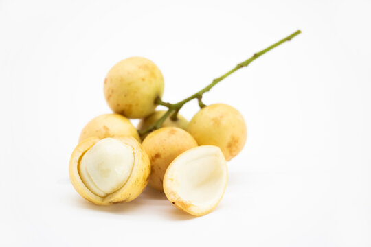 「Baccaurea」の画像 - 471 件の Stock 写真、ベクターおよびビデオ | Adobe Stock