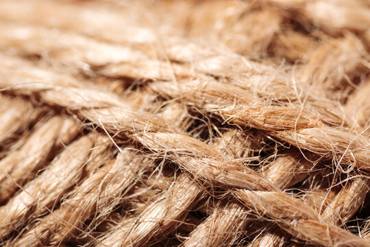 รูปภาพPackthread – เลือกดูภาพถ่ายสต็อก เวกเตอร์ และวิดีโอ3,100 | Adobe ...