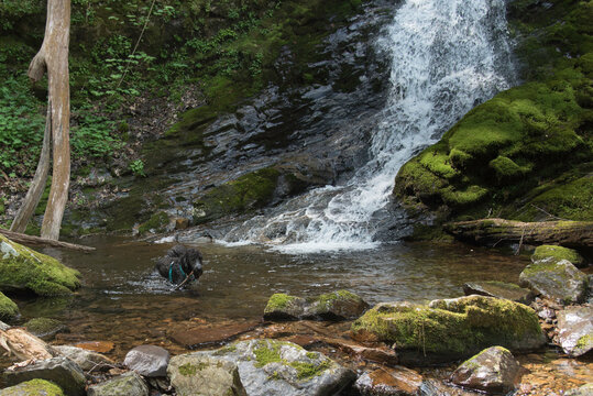 Fetching Images – Browse 3,580,774 Stock Photos, Vectors, and Video ...