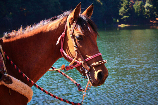 "Color Cafe" Images – Browse 171 Stock Photos, Vectors, and Video ...