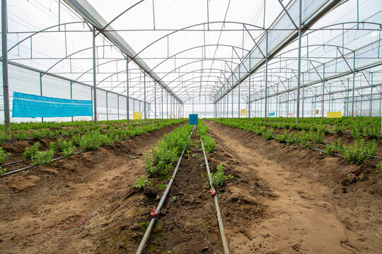 「Acrecentar」の画像 - 5,783 件の Stock 写真、ベクターおよびビデオ | Adobe Stock