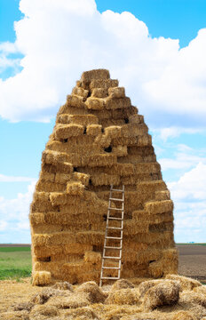 "Bundle Of Hay" Images – Browse 99 Stock Photos, Vectors, and Video ...