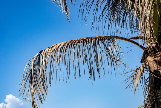 Imágenes de Gande: descubre bancos de fotos, ilustraciones, vectores y ...