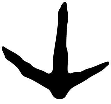 Turkey Tracks Clipart