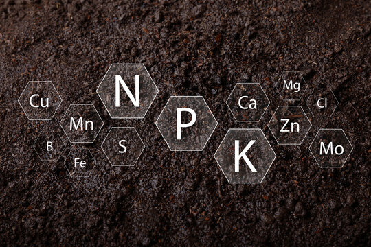 Microelement Изображения: просматривайте стоковые фотографии, векторные ...