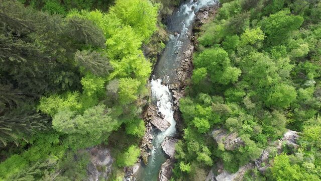 "Torrente - Images et vidéos libres de droits | Adobe Stock
