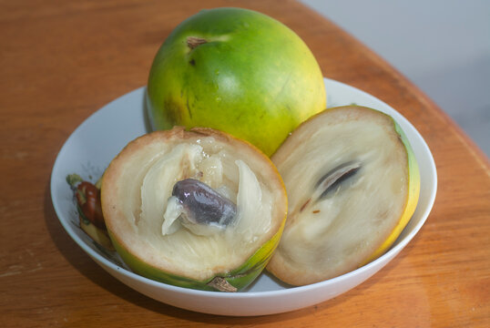 Caimito Images – Browse 4,694 Stock Photos, Vectors, and Video | Adobe ...