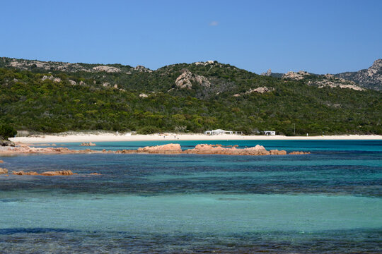 Imagens de Liscia – Explore Fotografias do Stock, Vetores e Vídeos de ...