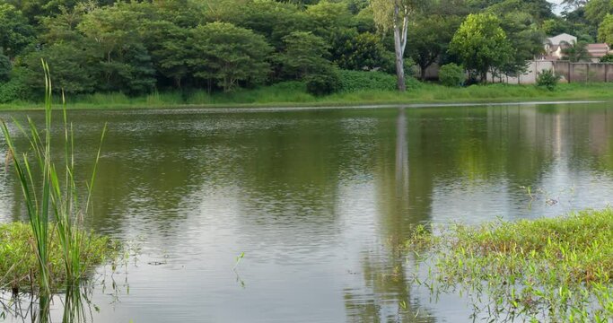 Non-Polluted 이미지 – 찾아보기 37 스톡 사진, 벡터 및 비디오 | Adobe Stock