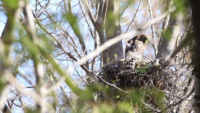 Buse Images – Browse 724,095 Stock Photos, Vectors, and Video | Adobe Stock