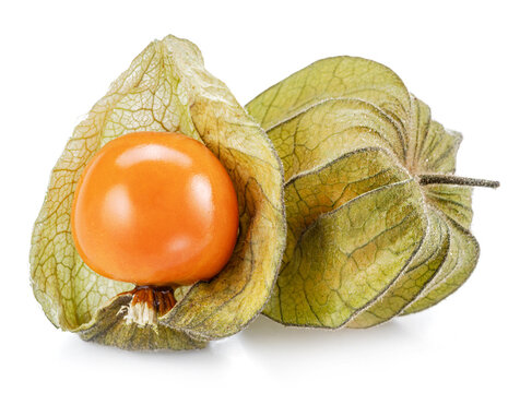 Harankash Images – Browse 13,857 Stock Photos, Vectors, and Video ...