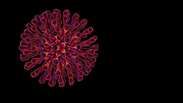 Infaction Images – Browse 147 Stock Photos, Vectors, and Video | Adobe ...