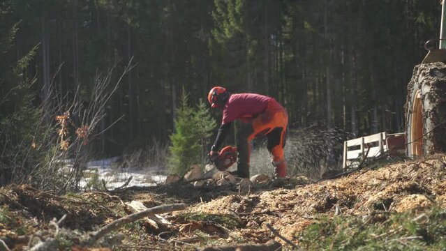 Lumberer Bilder – Durchsuchen 1,211 Archivfotos, Vektorgrafiken und ...