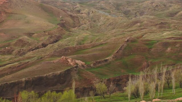 "Noahs Ark" Images – Browse 282 Stock Photos, Vectors, and Video ...