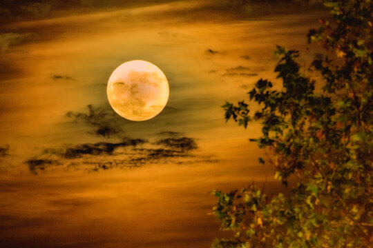 "Claro De Luna" Images – Browse 4,098 Stock Photos, Vectors, and Video ...