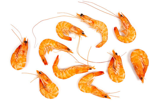 Krevette Bilder – Durchsuchen 750,413 Archivfotos, Vektorgrafiken und ...