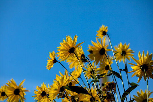รูปภาพFraben – เลือกดูภาพถ่ายสต็อก เวกเตอร์ และวิดีโอ88 | Adobe Stock