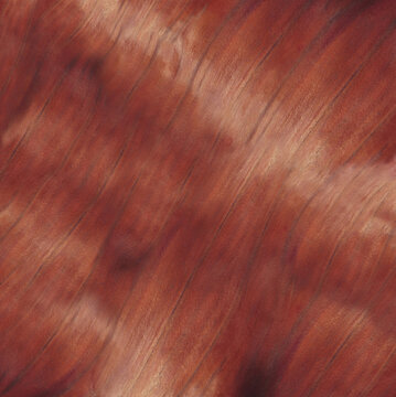 「Filber」の写真素材 | 80件の無料イラスト画像 | Adobe Stock