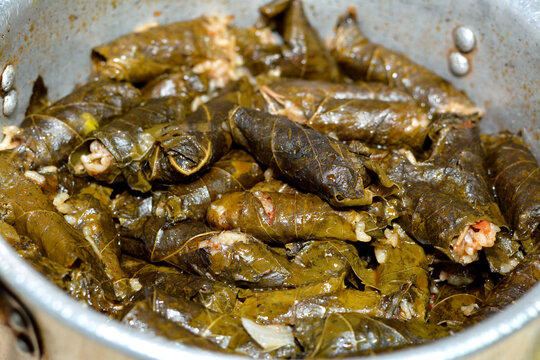 Mahshi Images – Browse 465 Stock Photos, Vectors, and Video | Adobe Stock