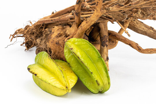 Imágenes de Torombolo: descubre bancos de fotos, ilustraciones ...