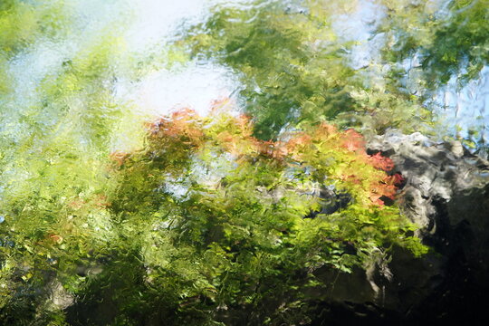 "Kyoto Aquarium" Bilder – Durchsuchen 358 Archivfotos, Vektorgrafiken ...