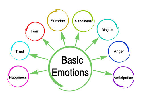"Basic Emotions" Images – Browse 181 Stock Photos, Vectors, and Video ...