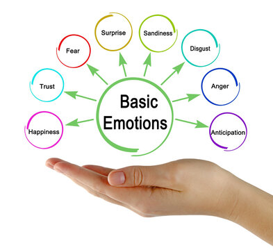 "Basic Emotions" Images – Browse 202 Stock Photos, Vectors, and Video | Adobe Stock