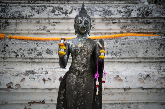 Sakhla Images – Browse 46 Stock Photos, Vectors, and Video | Adobe Stock