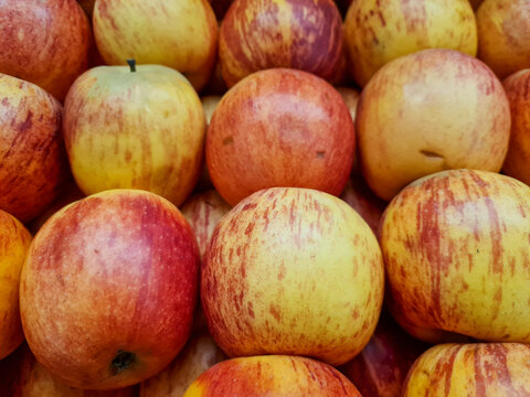 「Scifresh」の写真素材 | 55件の無料イラスト画像 | Adobe Stock