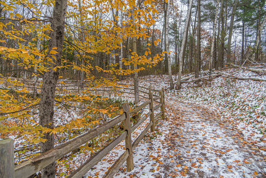 Fall/Winter Images – Browse 1,410,564 Stock Photos, Vectors, and Video ...