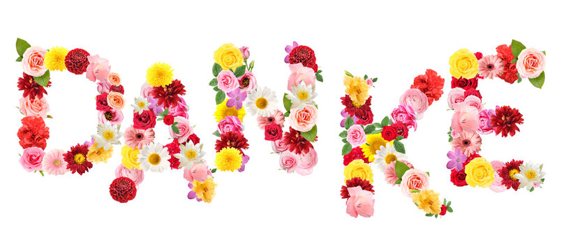 รูปภาพ"Danke – เลือกดูภาพถ่ายสต็อก เวกเตอร์ และวิดีโอ39,127 | Adobe Stock