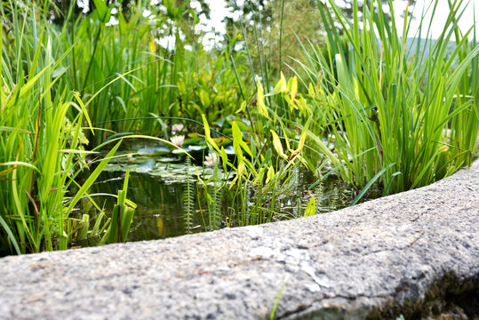 รูปภาพBassin – เลือกดูภาพถ่ายสต็อก เวกเตอร์ และวิดีโอ28,871 | Adobe Stock