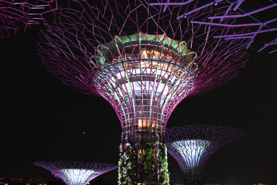 "Super Tree" Images – Browse 310 Stock Photos, Vectors, and Video ...