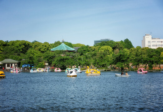 Catamite 影像 – 瀏覽 1,098 個素材庫相片、向量圖和影片 | Adobe Stock