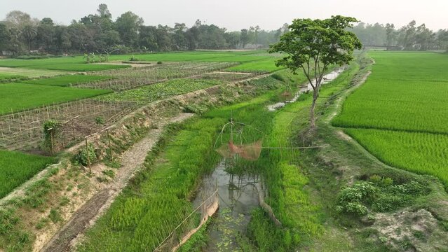 Canel Images – Browse 1,283 Stock Photos, Vectors, and Video | Adobe Stock