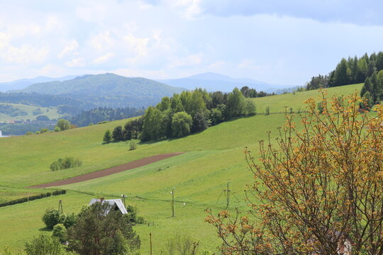 Maj Bilder – Durchsuchen 3,933 Archivfotos, Vektorgrafiken und Videos ...